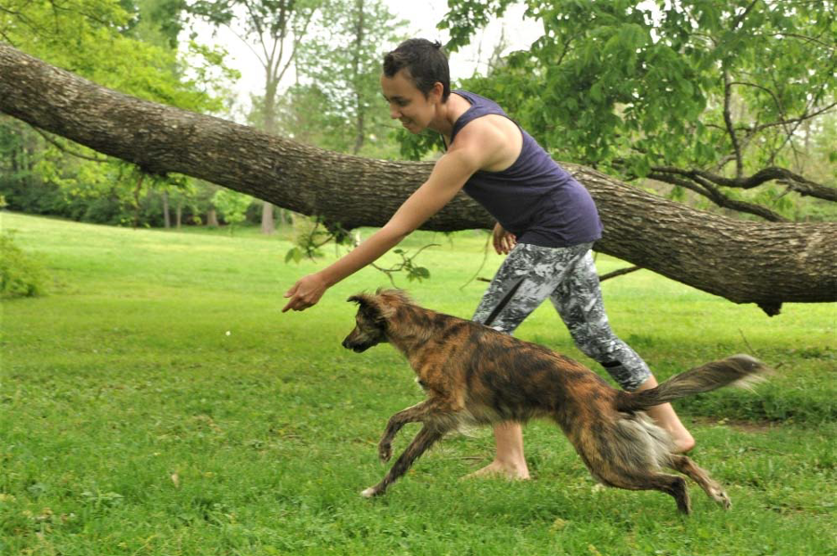 Smart Training – Oregon School for Clever Dogs